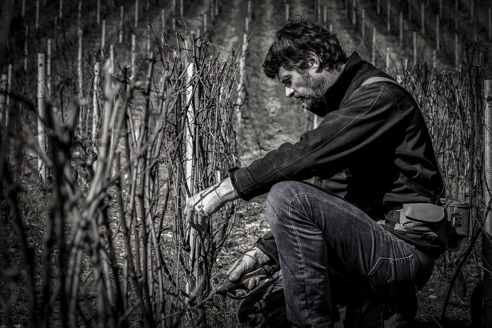 DOMAINE RAGOT | Grands vins de Bourgogne | Notre Domaine